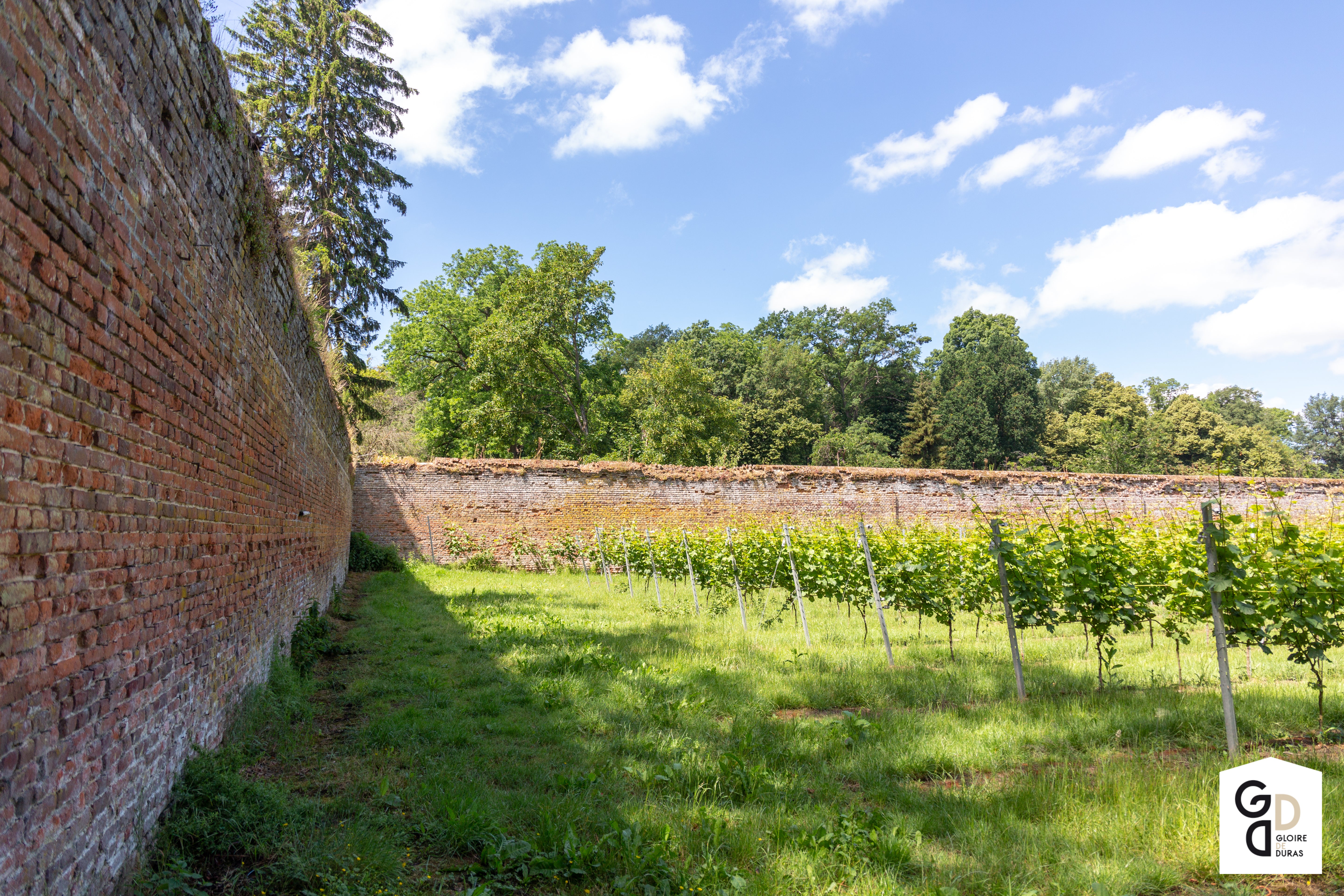 Belgische wijn Gloire de Duras "Chardonnay Barrique" 2024 – BOIR.